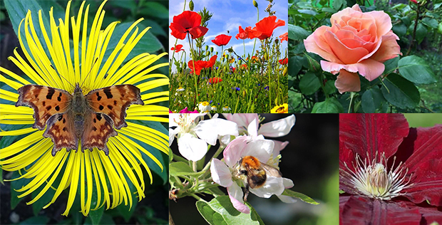 Spring photo competition - winner announced | Mayfield Villages